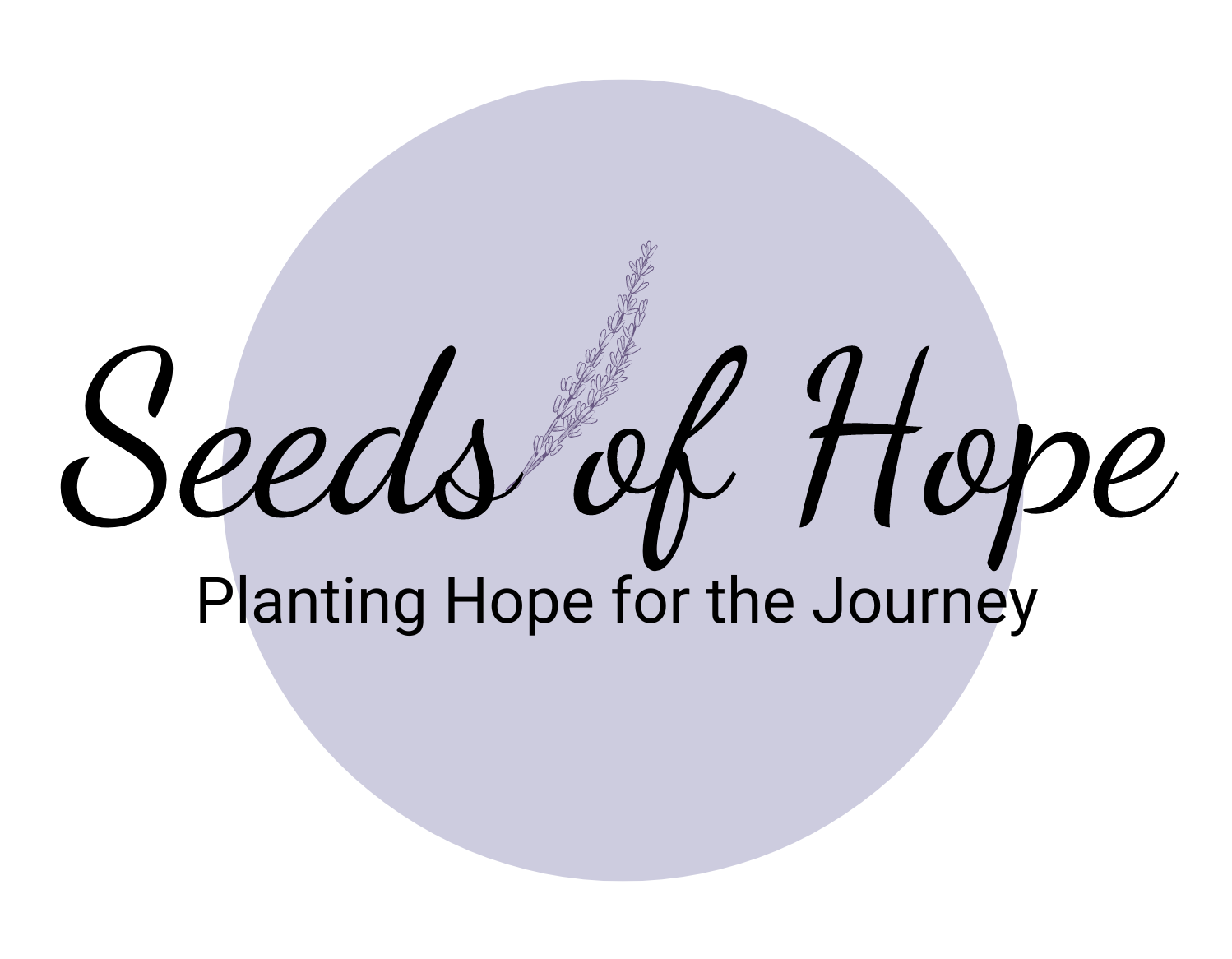 Seeds Katrina Douglas Writes